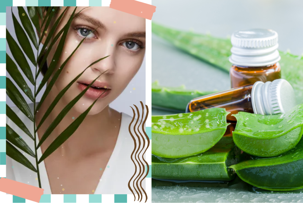 Ivory Skin Tone: What Is It And Skincare Tips - Skincell.org